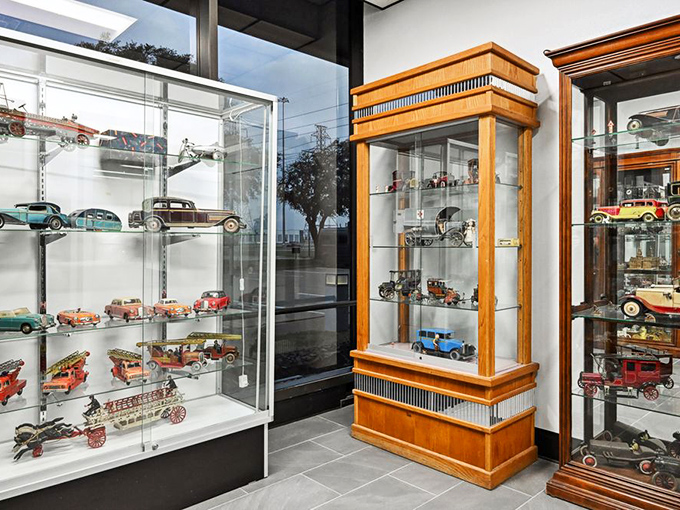 Elegantly displayed model cars tell automotive history in miniature. Each tiny vehicle represents someone's dream ride, meticulously recreated down to the last chrome detail.