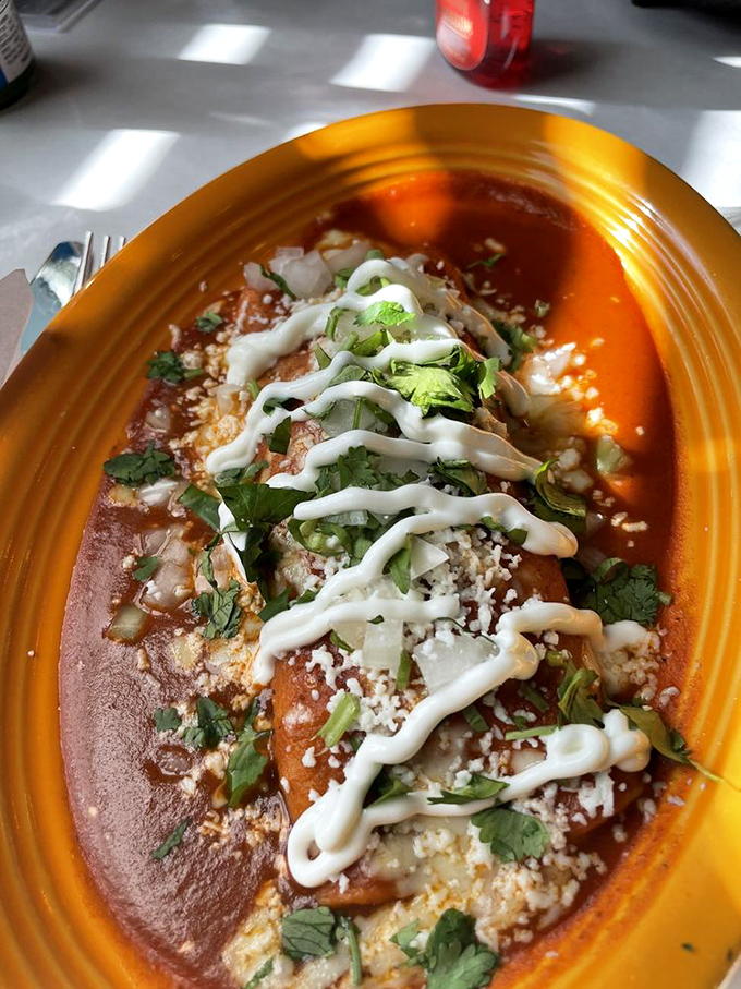 Red sauce enchiladas topped with fresh cilantro and a snowfall of cotija cheese. This isn't just dinner; it's the reason stretchy pants were invented.