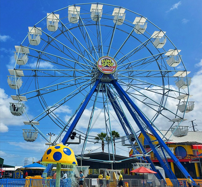 The Ferris wheel stands sentinel over a splash pad, combining two timeless joys: seeing the world from above and getting delightfully soaked below.