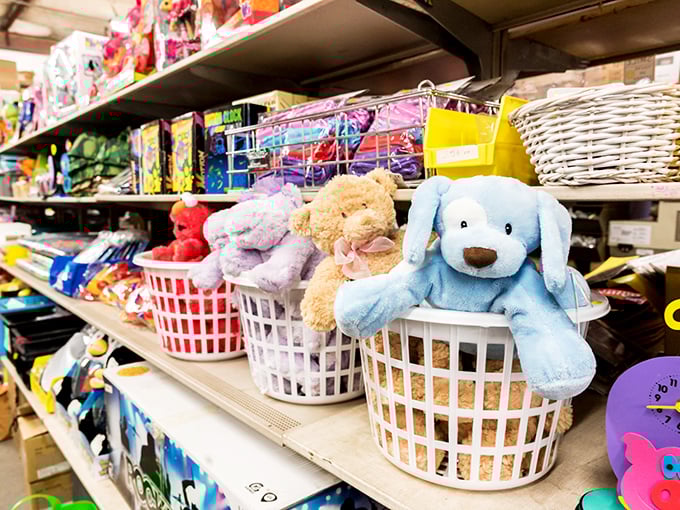 Even the teddy bears have found refuge here, patiently waiting in their basket homes for a second chance at cuddles.