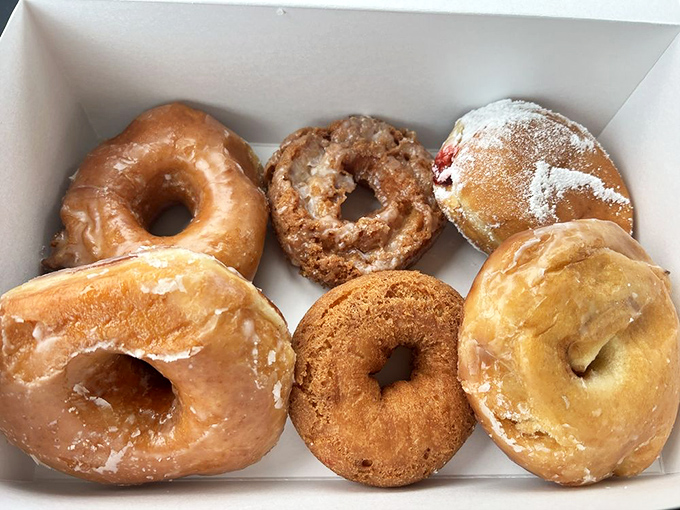 The United Nations of donuts &ndash; where glazed, powdered, and chocolate-dipped varieties coexist in perfect harmony on metal trays.