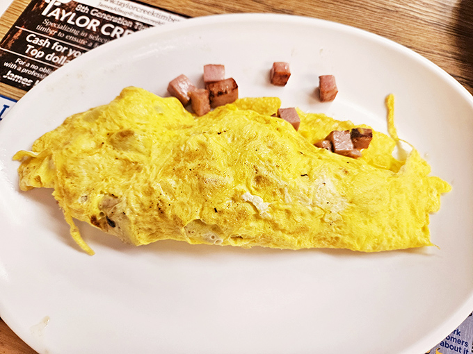 The ham and cheese omelet arrives with such perfect golden coloration, it could win a beauty pageant in the breakfast food division.