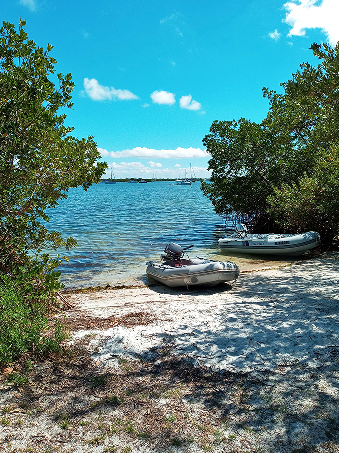 The entrance to Narnia looks different in Florida. These small boats tucked into mangrove shores are your ticket to a world untouched by time.