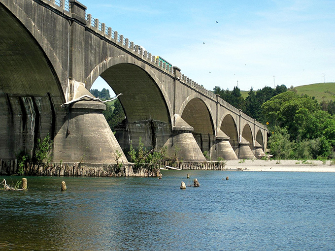 This magnificent concrete bridge spans the Eel River, connecting Ferndale to the wider world. Engineering marvel meets practical necessity in this graceful structure.