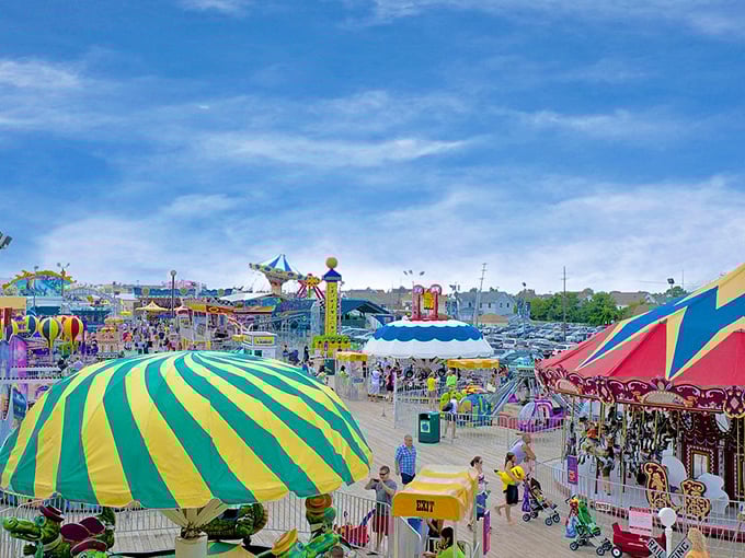 The boardwalk carnival lights up summer evenings like your grandkid's face on Christmas morning. Pure joy doesn't require complicated entertainment—just cotton candy and carousel rides.