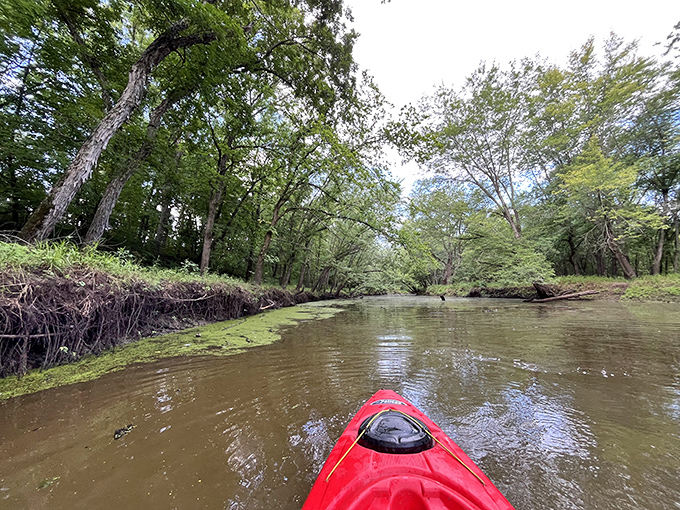Adventure calls from every bend as you paddle through tree-lined passages. It's like navigating through a living postcard of Missouri's hidden waterways.