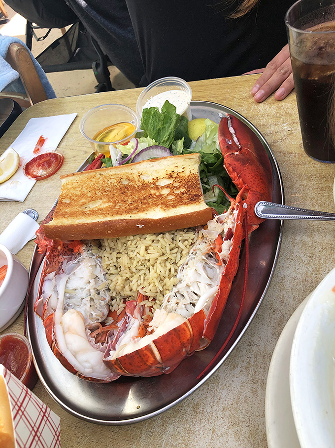 Lobster served with the simplicity it deserves. When the star of the show is this good, rice and salad know to play supporting roles.