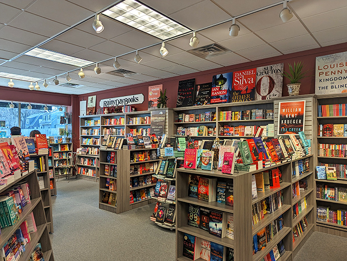 Books arranged with the care of a sommelier's wine list. Each shelf offers a different vintage of storytelling, no corkage fee required.