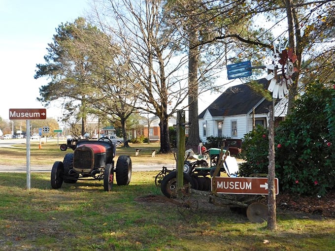 History with horsepower at the Meadow Museum. These vintage tractors tell the story of rural ingenuity better than any textbook ever could.