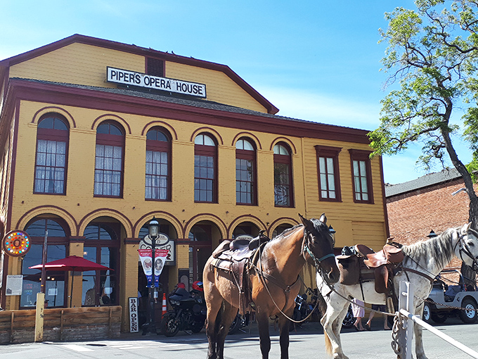 Piper's Opera House has hosted everything from Shakespeare to vaudeville since the 1880s. Even the horses seem to appreciate its cultural significance!