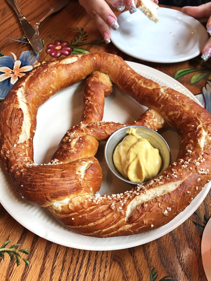 The pretzel mother ship has landed! This glorious twisted dough masterpiece with mustard is basically carbs dressed for their own coronation.