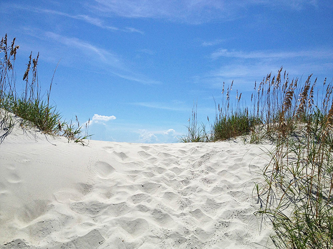 These sea oats aren't just for show &ndash; they're the island's natural defenders, anchoring dunes against erosion while creating a serene, whisper-filled soundtrack.