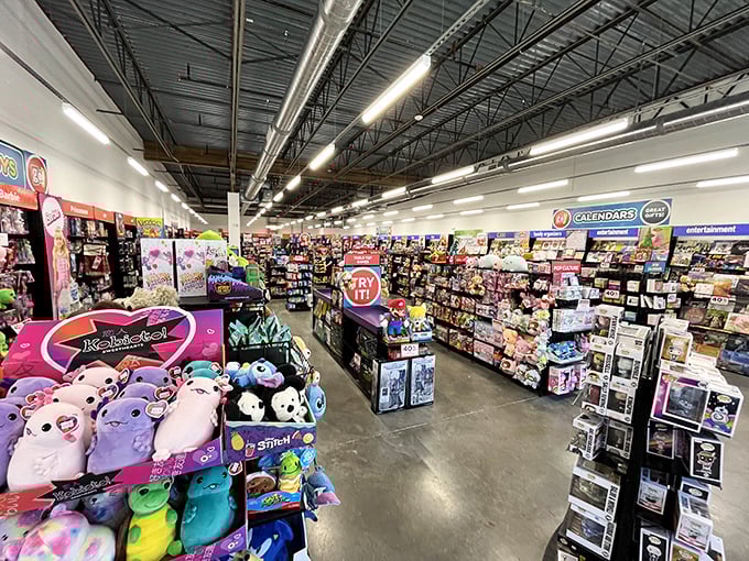 This toy wonderland could transform even the most shopping-averse companion into an enthusiastic participant&mdash;plush creatures and collectibles as far as the eye can see.