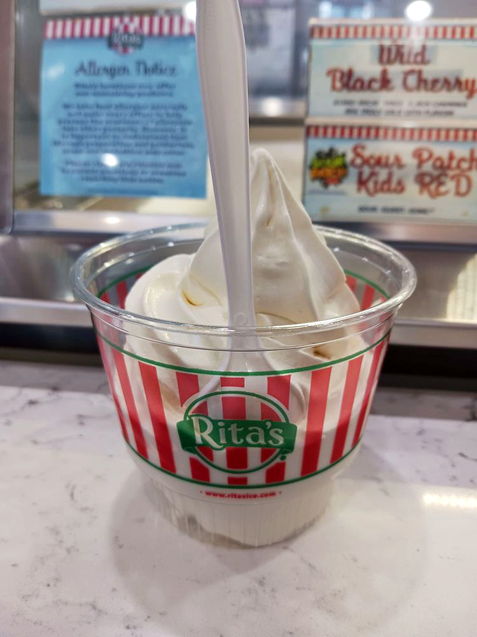 Vanilla custard that proves simple doesn't mean boring. This cloud-like creation is the blank canvas of frozen joy.