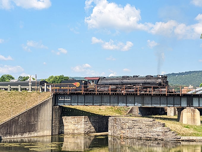 All aboard nostalgia! The Western Maryland Scenic Railroad chugs across history, proving some of life's best journeys still run on steam.