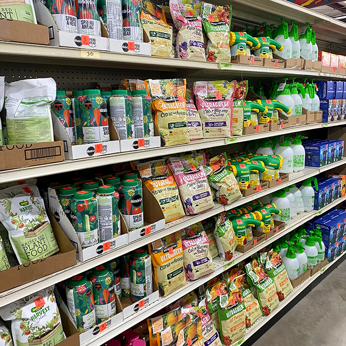 Garden enthusiasts rejoice&mdash;Ollie's plant food selection rivals the snack options at a movie theater, but with significantly better results for your hydrangeas.