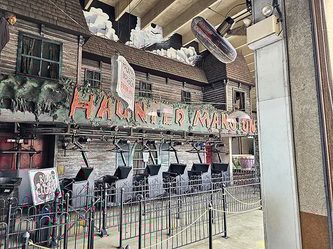 The legendary Haunted Mansion entrance promises delightfully spine-tingling frights that have tested courage across generations since 1980.