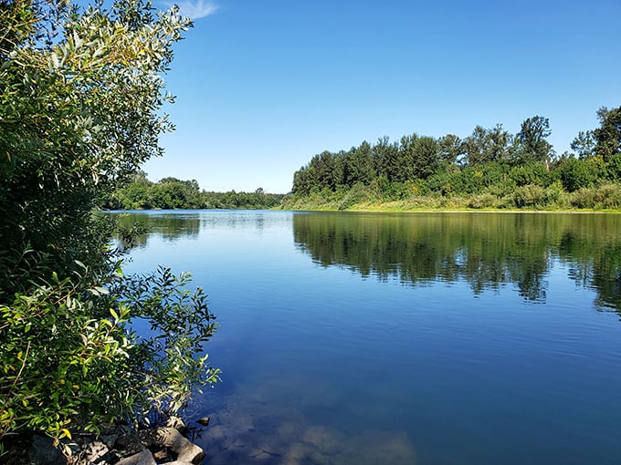 The Willamette River provides Salem's retirees with nature's version of Netflix&mdash;endlessly streaming entertainment that doesn't charge monthly fees.