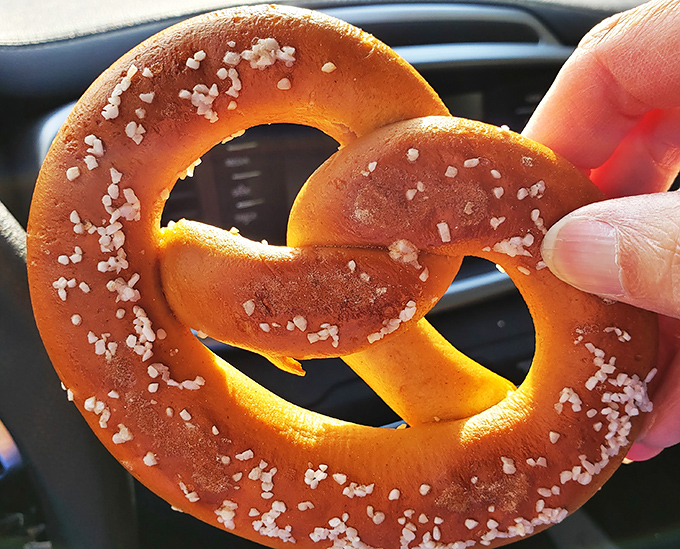 Holding this perfectly salted pretzel feels like clutching edible treasure – a hand-sized reminder that simple pleasures are often the most satisfying.