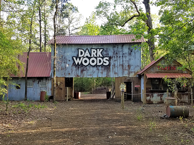 "Dark Woods" might sound ominous, but this quirky attraction offers affordable entertainment for when the grandkids visit. Adventure without the theme park price tag!