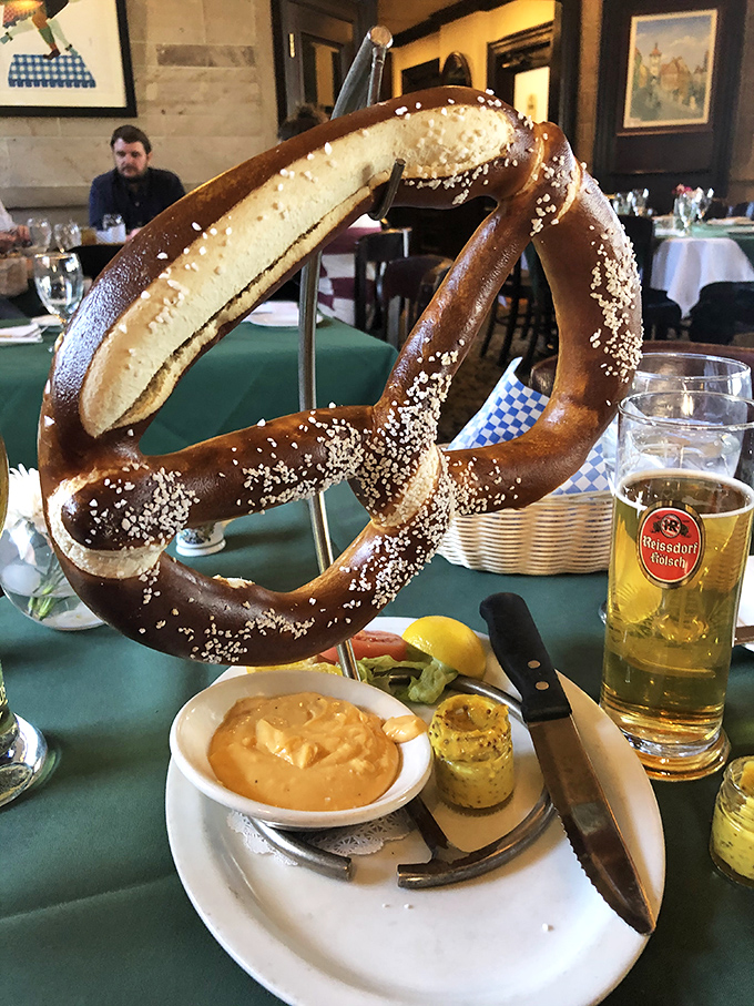 The perfect pretzel trifecta: mahogany crust, pillowy interior, and mustard that could make a grown German weep with nostalgia.