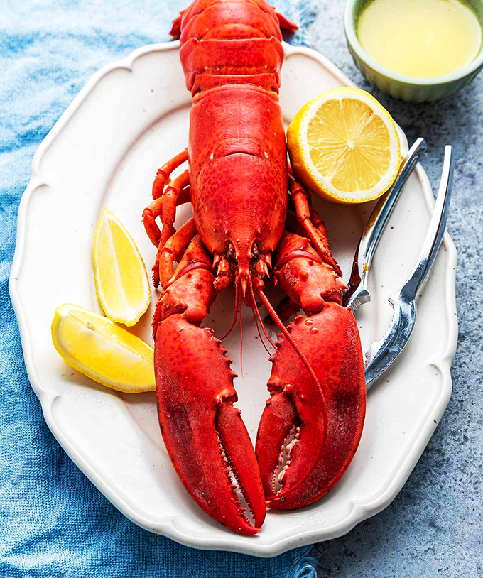 A perfectly cooked lobster, dressed for success with corn on the cob and seasonings that would make even the most stoic Midwesterner dance a little jig.