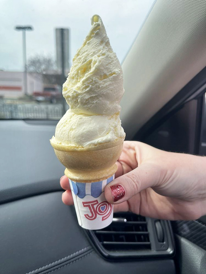 Vanilla custard that makes ordinary ice cream look like it needs therapy. That perfect swirl is the sculpture Michelangelo would have created if he'd been into desserts.