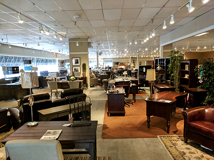 The showroom stretches like a furniture fantasyland, with track lighting that makes everything look like it belongs in a magazine spread.