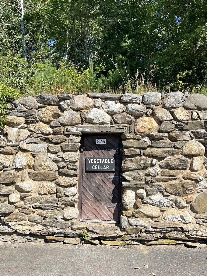 "Vegetable Cellar" &ndash; because even castle dwellers need a place to store their root vegetables away from dragons and marauding knights.