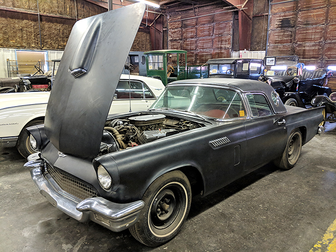 Automotive archaeology at its finest. This sleek Thunderbird with its hood raised reveals the mechanical heart that powered America's love affair with the open road.