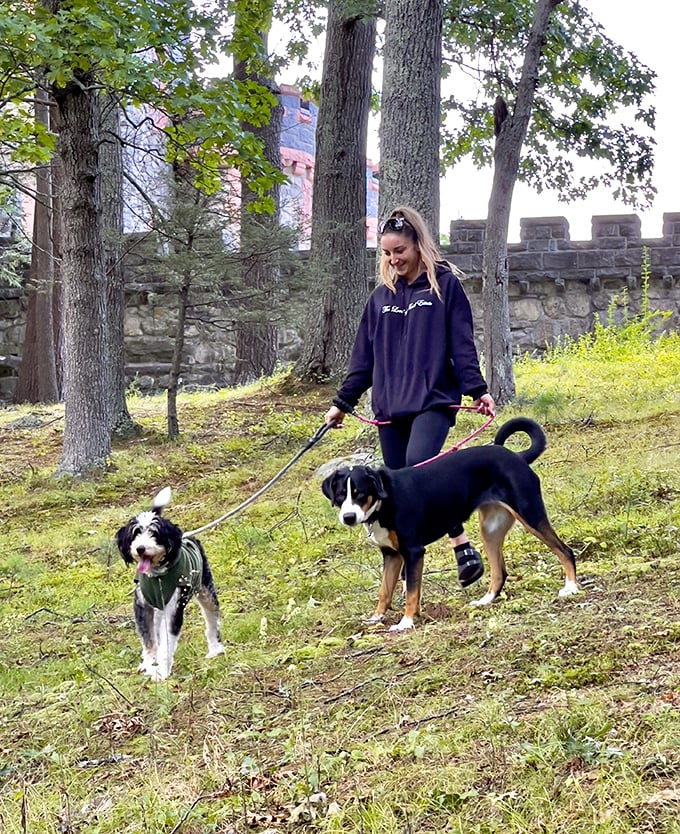 Even the castle grounds offer delightful surprises. The stone walls provide a perfect backdrop for a leisurely stroll with four-legged companions.
