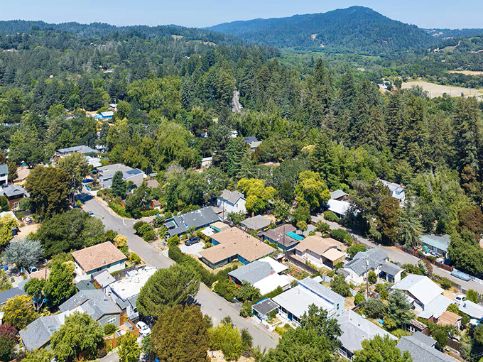 Aerial view reveals a patchwork of homes nestled among towering redwoods, where backyard barbecues and over-the-fence conversations are daily rituals.