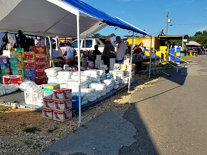 Shopping with a view! Mountain Top Flea Market's outdoor stalls showcase everything from local art to unexpected treasures against Alabama's rolling hills.