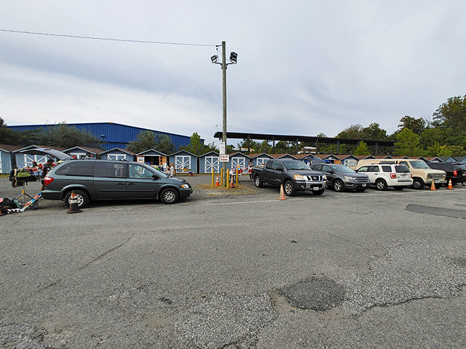 These neat rows of mini-shops are like a village of possibilities—each tiny door opens to a different collector's universe.