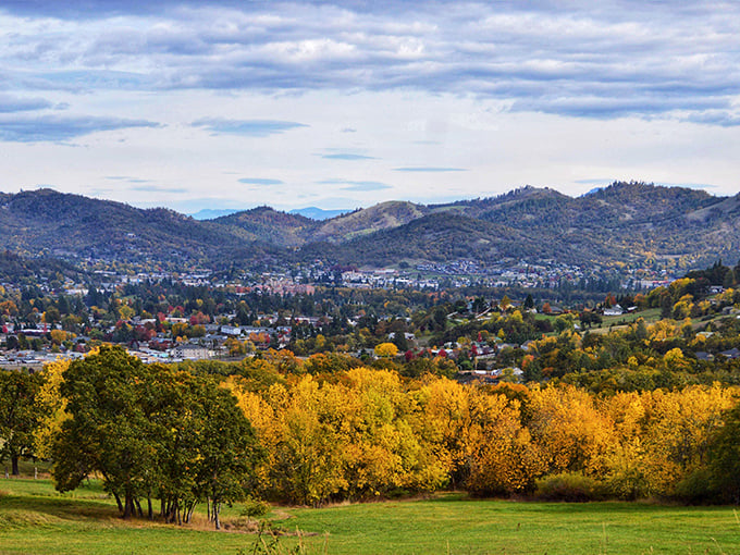Fall colors frame Roseburg's streets with nature's paintbrush. Those trees dressed in autumn gold are putting on quite the show.
