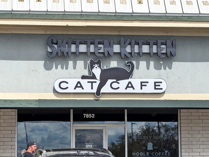 The Smitten Kitten's playful sign promises exactly what cat lovers dream of – caffeine, cookies, and curious kitties!