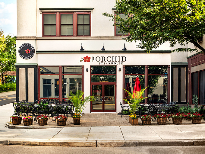 The Orchid's elegant fa&ccedil;ade brings a touch of international flair to Bethlehem's dining scene. East meets steak in the most delicious way.