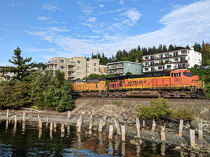 College town energy meets retirement tranquility where mountains and sea create nature's perfect retirement community backdrop. 