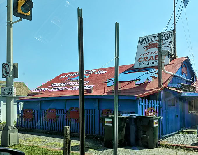 This vibrant seafood shack proves the old adage: the more modest the building, the more magnificent the meal inside.