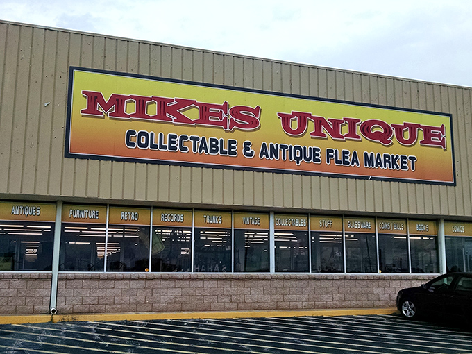 Behind that bright yellow sign lies a wonderland of collectibles. Every category neatly labeled, every treasure waiting to be discovered.