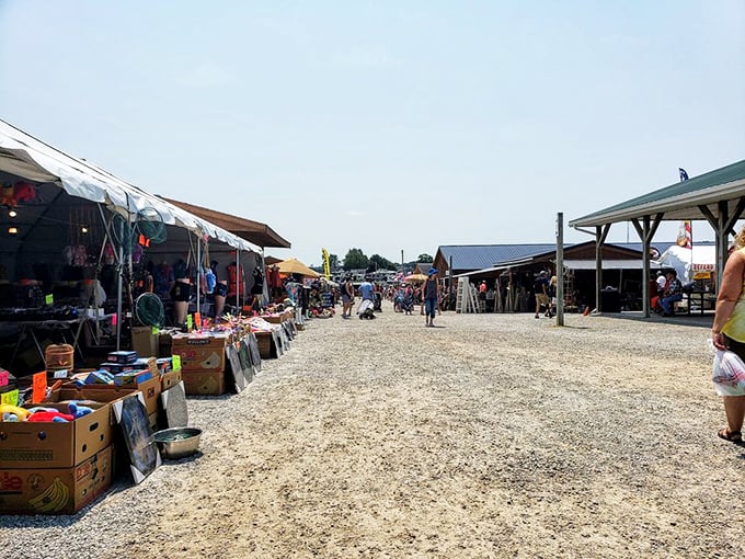 Where gravel paths connect vendors and shoppers in a dance as old as commerce itself. Sunshine, bargains, and unexpected finds await.