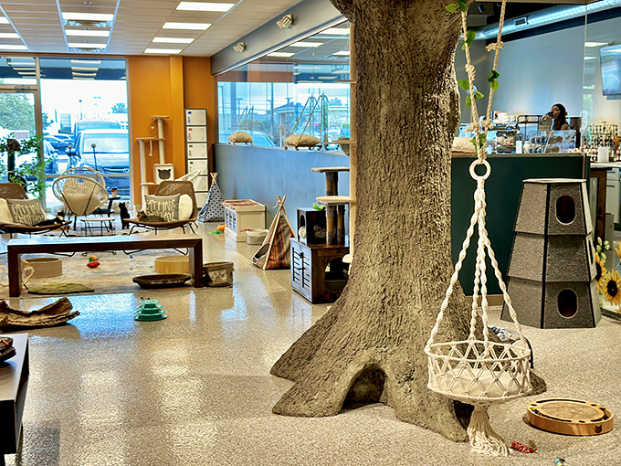 Inside this feline paradise, an actual tree becomes the ultimate cat playground. Purr-fection in design!