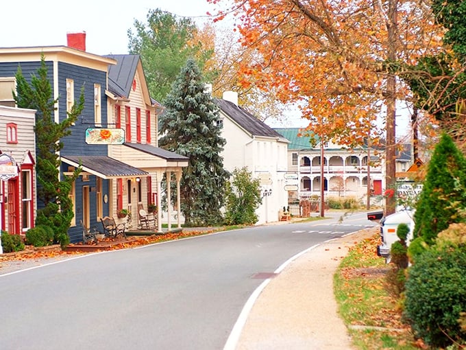Fall foliage frames Sperryville's main street, where small-town prices and big-hearted community spirit make retirement dollars stretch like taffy at a county fair.