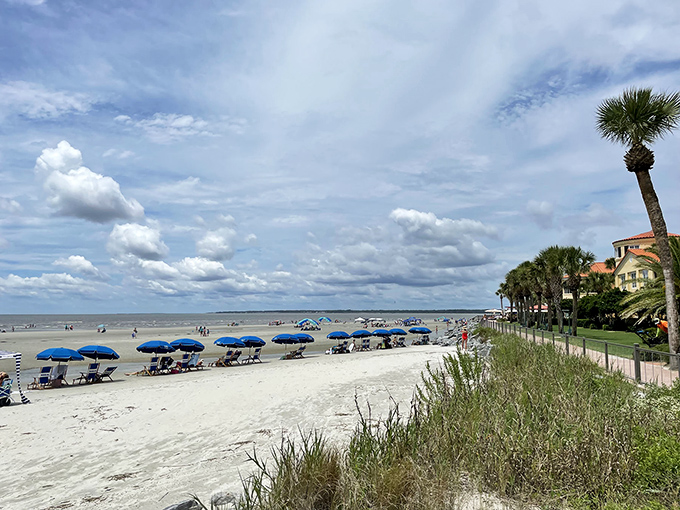 Blue umbrellas dot St. Simons' pristine beaches like confetti, each one sheltering someone's perfect day in paradise.