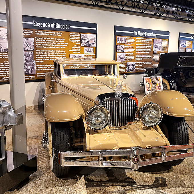 The elegant 1931 Bucciali stands as automotive royalty among the museum's treasures. With its cream finish and imposing grille, it's the Cary Grant of classic cars.