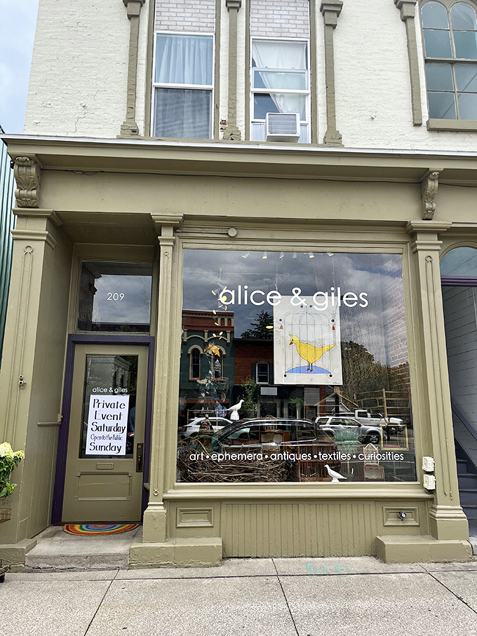Alice & Giles offers a curated wonderland where that yellow bird in the window seems to chirp, "Follow me down the rabbit hole of vintage curiosities."