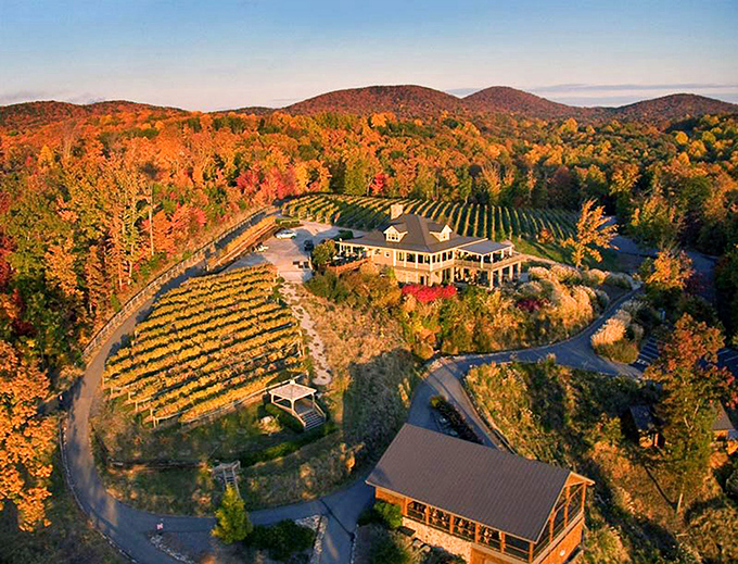Autumn paints Dahlonega's vineyards in a palette of fiery hues, where award-winning wines are born amid some of Georgia's most breathtaking scenery.