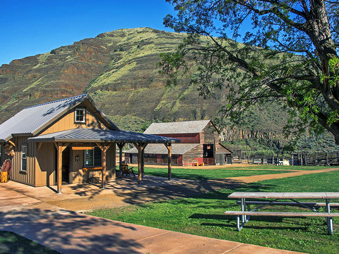 The park's historic buildings stand as monuments to Oregon's ranching past, now offering shade and stories to curious visitors.