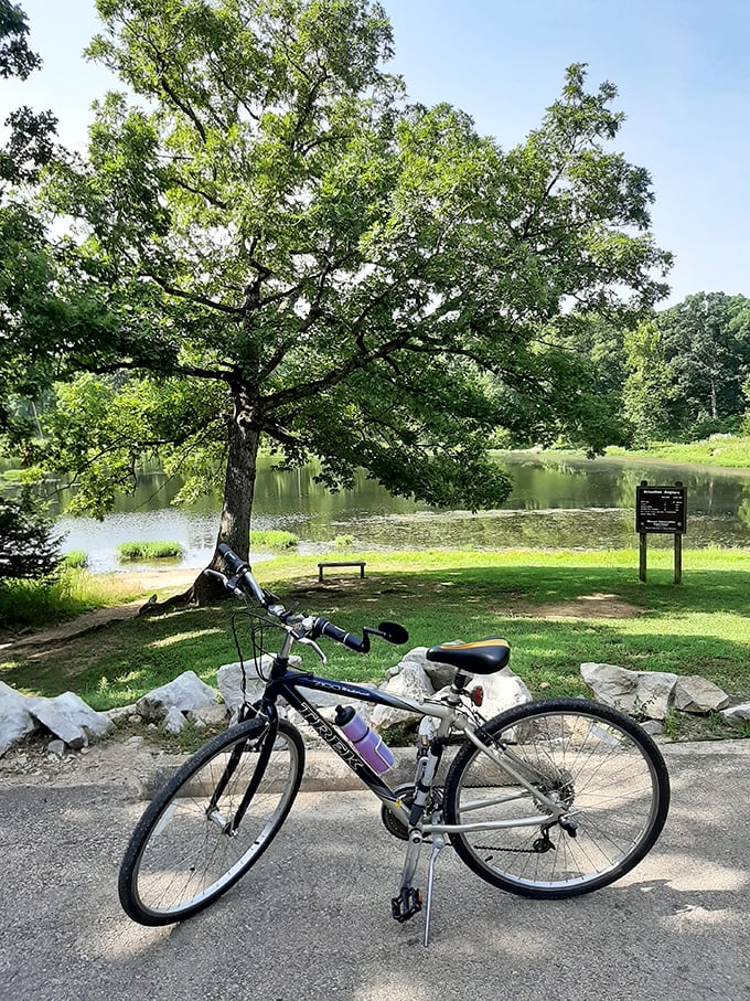 A bicycle rests by the placid lake waters – transportation and meditation device in one, with views no treadmill screen could ever replicate.
