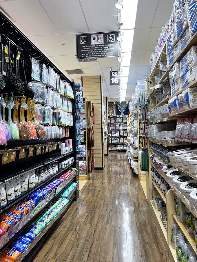 Aisles designed for discovery, where household essentials transform into treasure hunt finds. The organization itself is oddly satisfying.